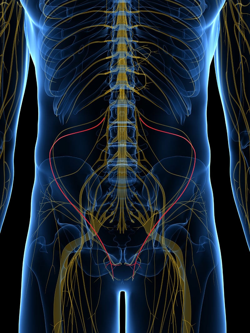 Ilioinguinal and Illiohypogastric Nerve Blocks | Excel Pain and Spine