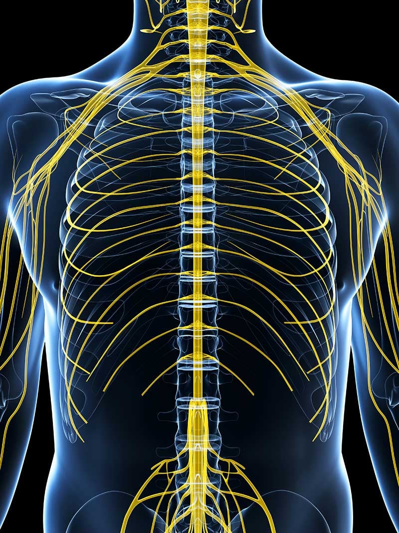 Intercostal Nerve Blocks and Radiofrequency Ablation | Excel Pain and Spine